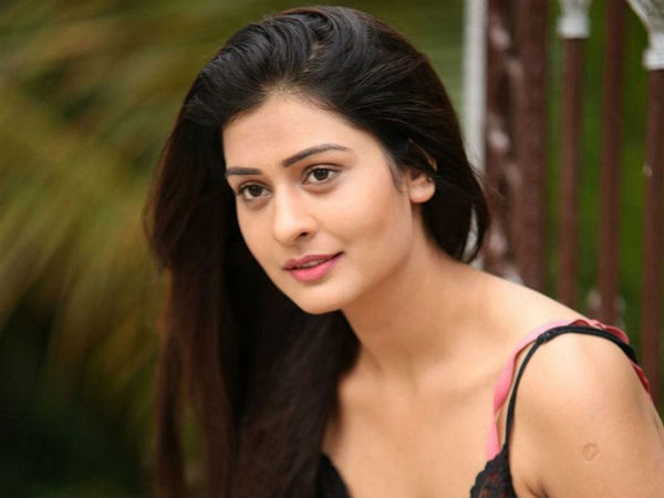 రవితేజతో పాయల్ రాజ్‌పుత్ రొమాన్స్.. క్రేజీ ఆఫర్ దక్కించుకున్న పంజాబీ ...