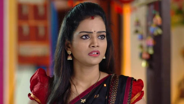 Vadinamma Serial June 29th Episode: మళ్ళీ మొదటికొచ్చిన శైలు.. మొదలైన ...