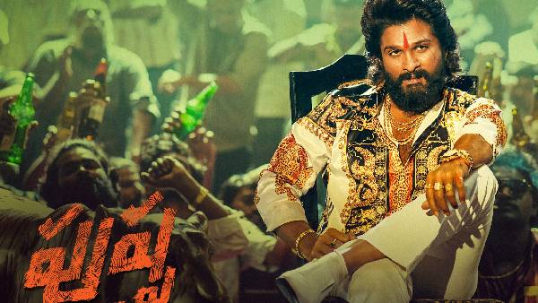 Eyy Bidda Idhi Naa Adda Lyrical: మాస్ స్టెప్పులతో రచ్చ చేసిన బన్నీ ...