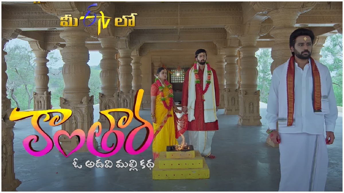 బుల్లితెరపై కాంతార, వసంత కోకిల.. ఎప్పుడు? ఎక్కడ చూడొచ్చంటే? | ETV ...
